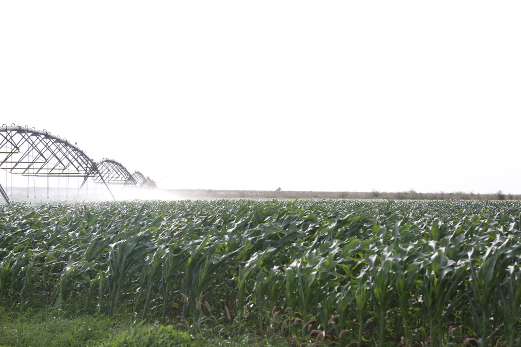IMGM0697 – National Irrigation Authority