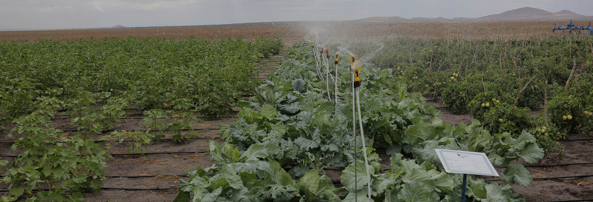 nia-bar-bg – National Irrigation Authority