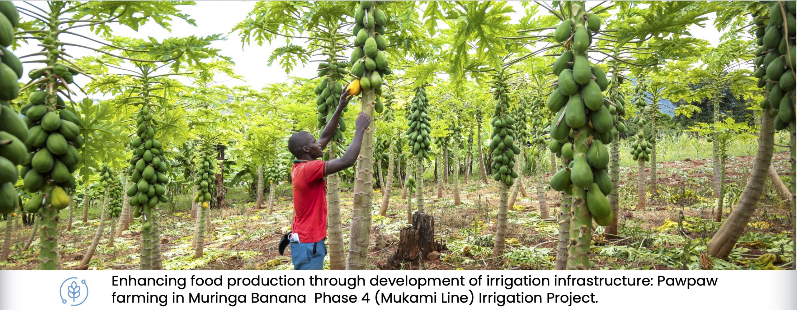 WEBSITE UPDATE SLIDES 3 (Muringa) – National Irrigation Authority