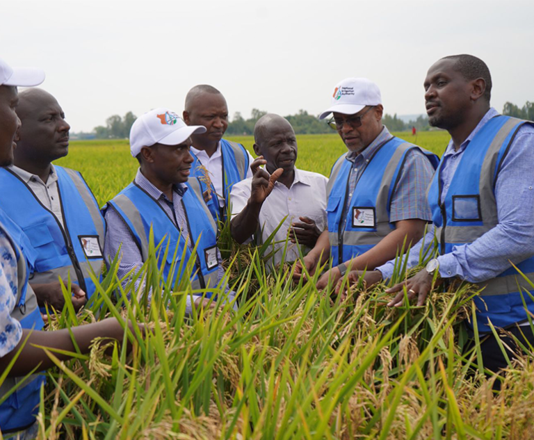 CS VISIT TO LOWER NZOIA IRRIGATION PROJECT AND BUNYALA IRRIGATION ...